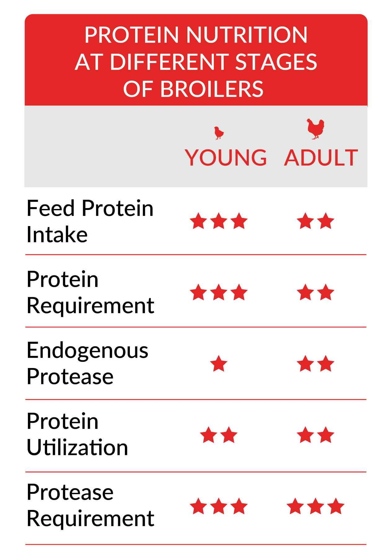 KEMZYME™ Protease For Digestibility | Kemin Asia Pacific